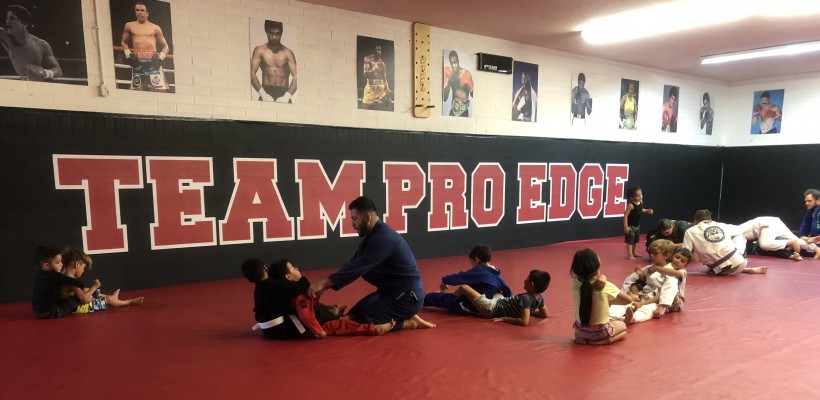 Pro Edge Boxing & MMA – Pro Edge Boxing and MMA